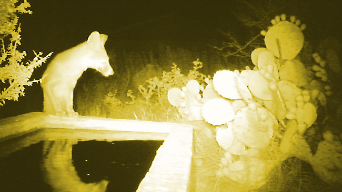 point de vue | QUITT